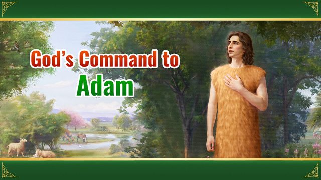 God’s Command to Adam | GOSPEL OF THE DESCENT OF THE KINGDOM