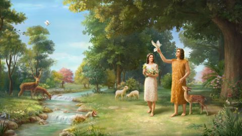 God Makes Coats of Skins for Adam and Eve | GOSPEL OF THE DESCENT OF THE KINGDOM