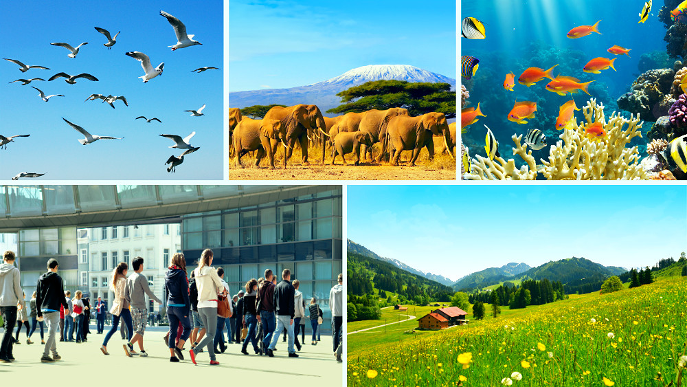 The Fact of the Creator’s Control and Dominion Over All Things and ...