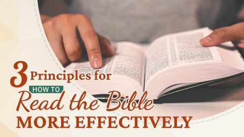 How to Read the Bible Effectively: Just Master These 3 Principles