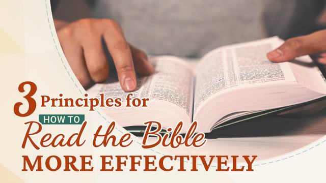 How to Read the Bible Effectively: Just Master These 3 Principles