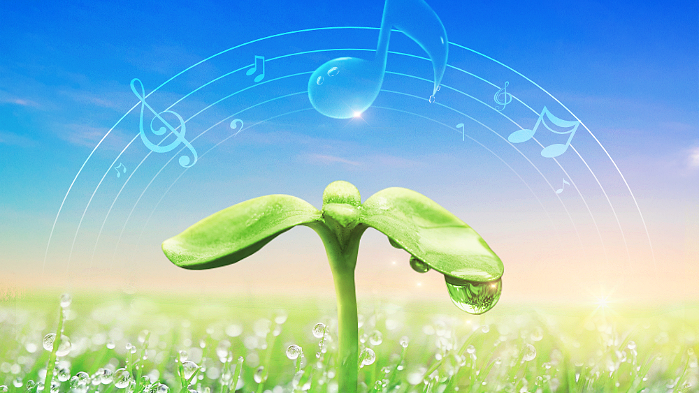 You Should Forsake All for the Truth | GOSPEL OF THE DESCENT OF THE KINGDOM