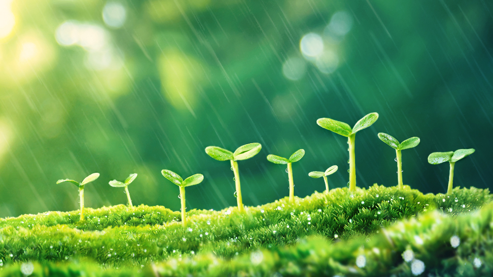 Testimonies of Life Experiences | GOSPEL OF THE DESCENT OF THE KINGDOM